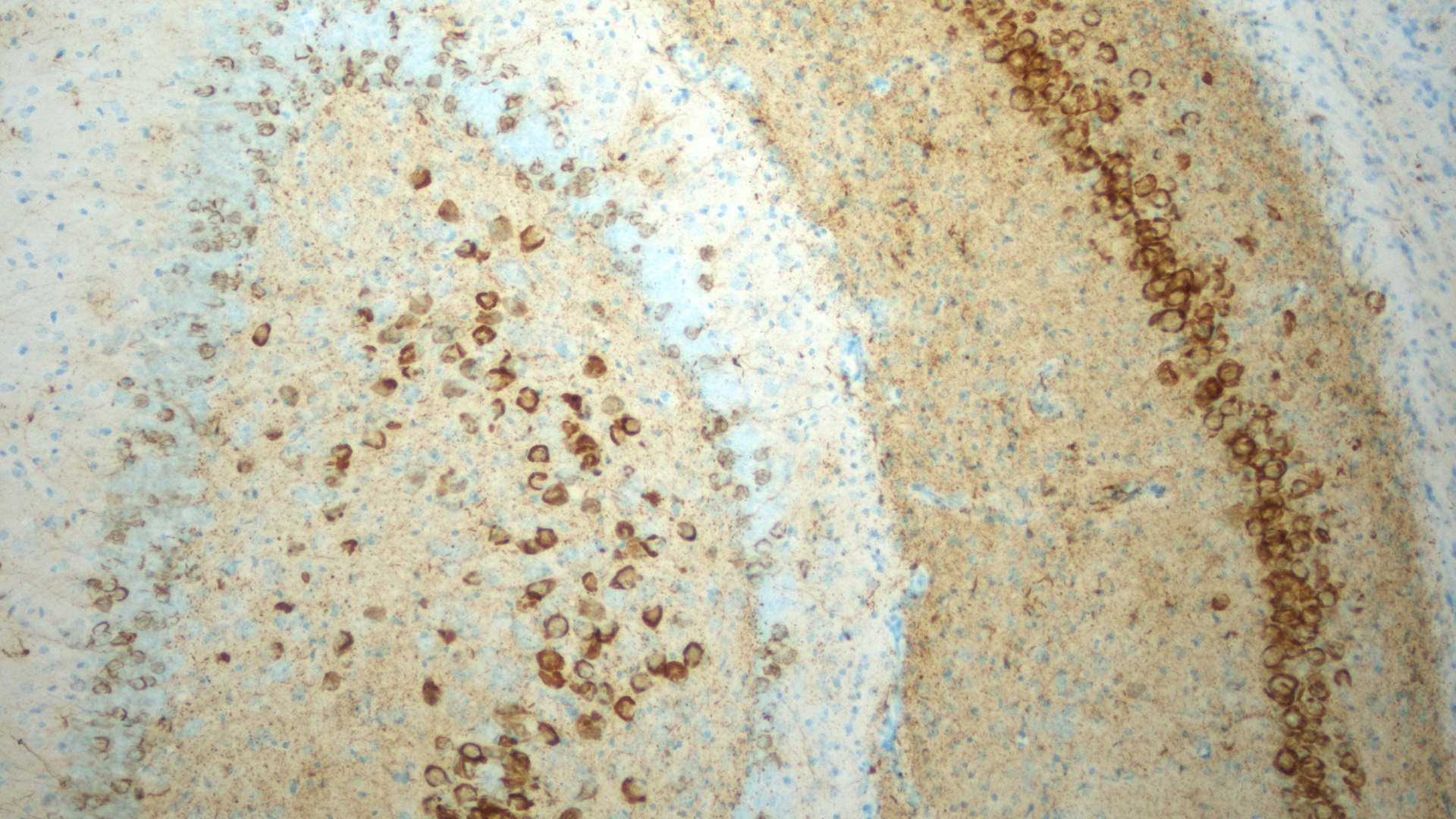 Instagram Privacy Notice